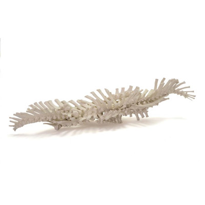 Judy Onofrio: Sculpture