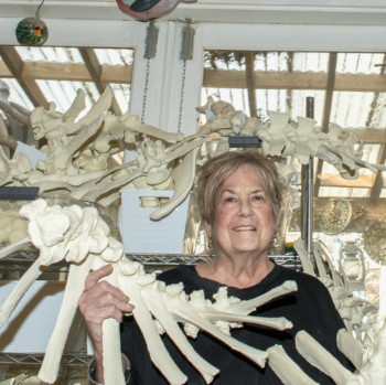 Judy Onofrio: Contact