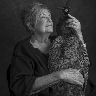 Judy Onofrio: Contact